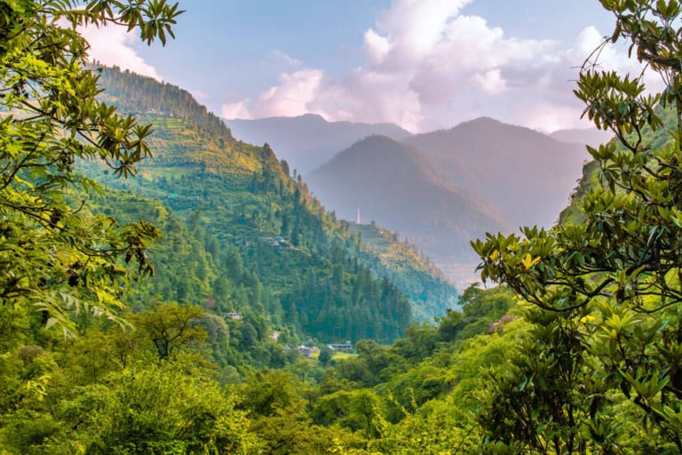 Delhi to Tirthan Valley: An Ultimate Getaway in Himachal in 2024 ...