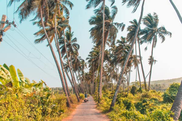 The Ultimate Guide on How to Reach Goa in 2024 - Meander Wander