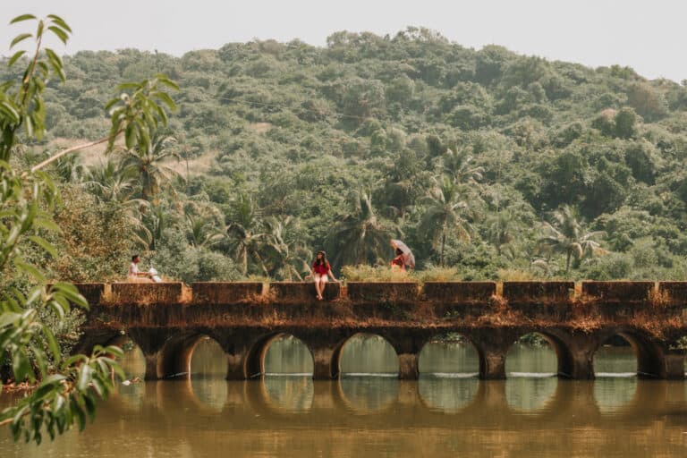 A Complete Guide on Where to Stay in Goa in 2022 - Meander Wander