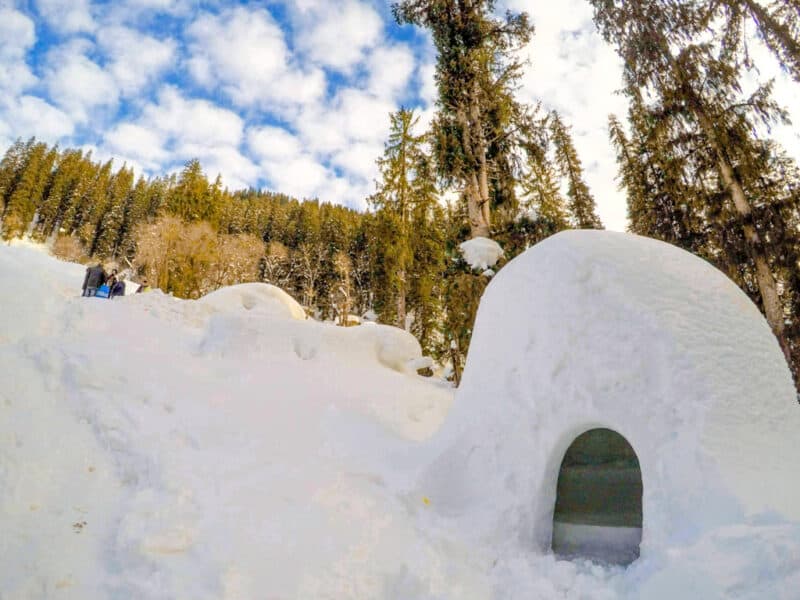 Igloo Stay in Manali 2024: Price | Itinerary | Other Details - Meander ...