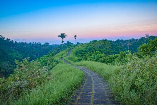 Indonesia Itinerary for 10 Days: Jakarta to Bali Route - Meander Wander